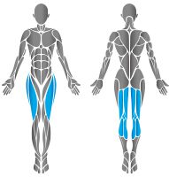 Leg Extension / Leg Curl-Analog 5530 - HUR USA - FOR LIFELONG STRENGTH
